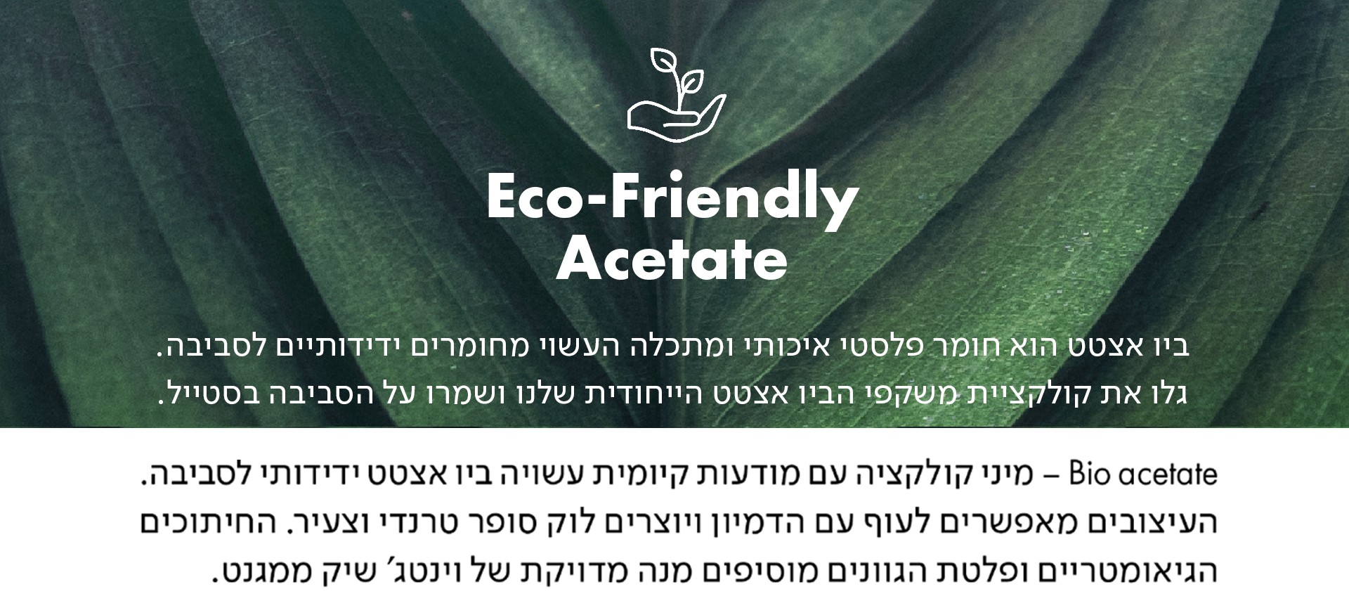 Eco-Acetate - קרולינה